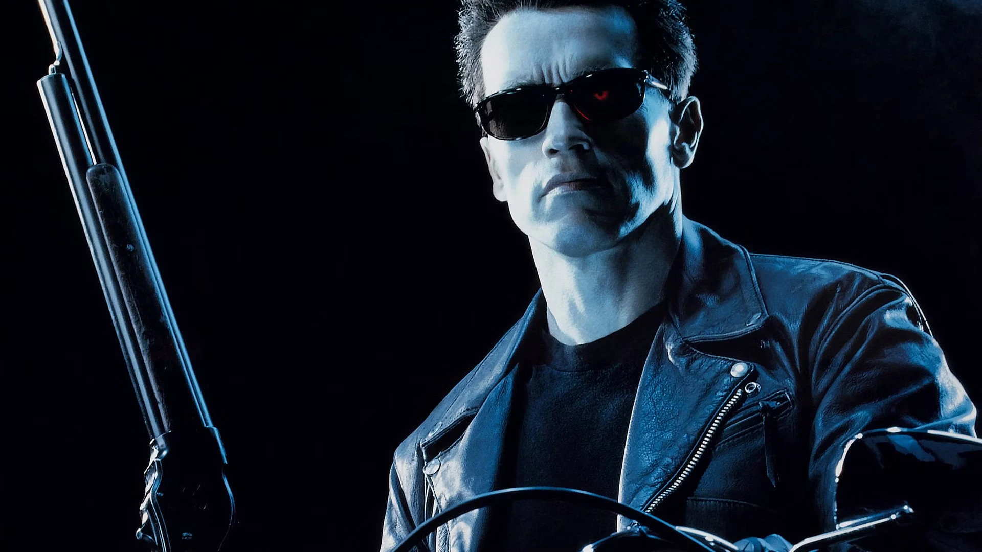 The Terminator sunglasses frames - The Optical Factory